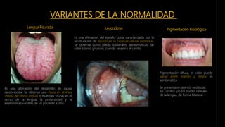 Cavidad Bucal - Propedeútica y Semiología en Odontología | PPTX