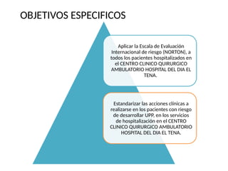 EXPO PROTOCOLO PREVENCION ULCERAS DE PRESION..pptx