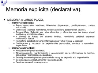 Memoria. Psicosemiología Psiquíatrica Básica | PPT