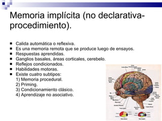 Memoria. Psicosemiología Psiquíatrica Básica | PPT