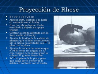 Expo órbitas | PPT