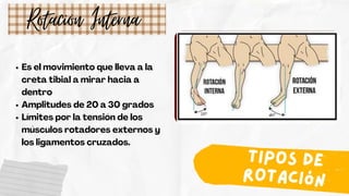 Exposición sobre Articulación femorotibial | PDF