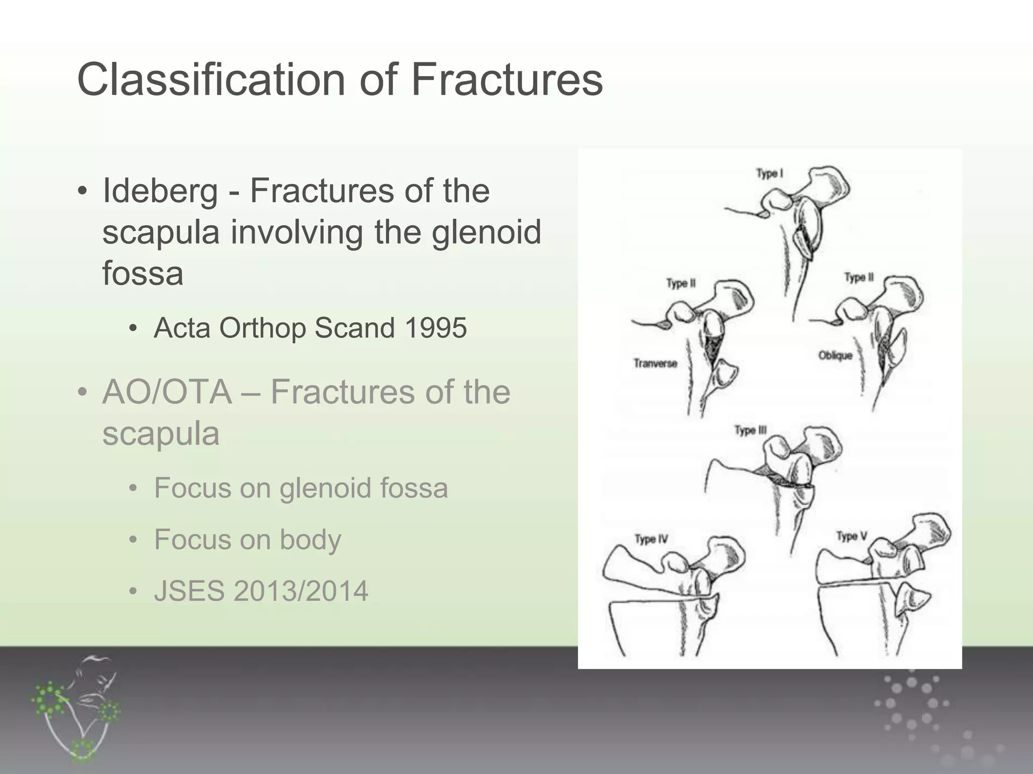 Scapula Fractures | PPTX