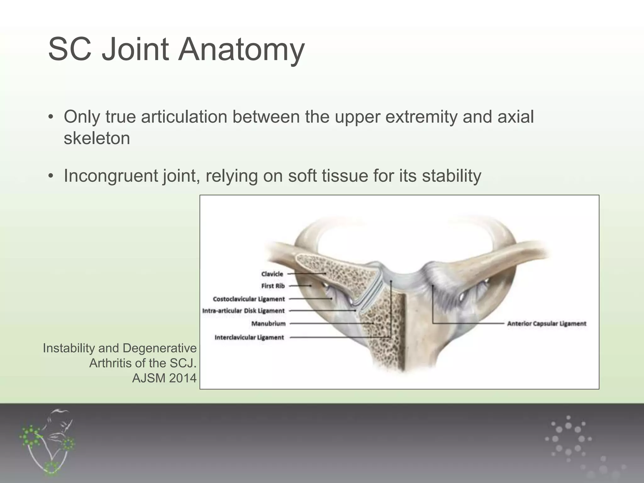 The Sternoclavicular Joint | PPTX