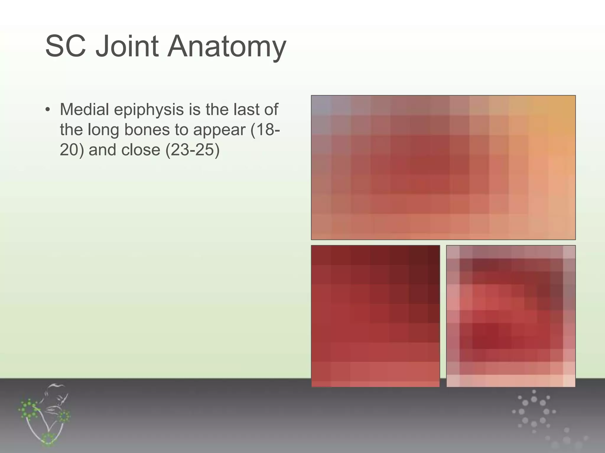 The Sternoclavicular Joint | PPTX