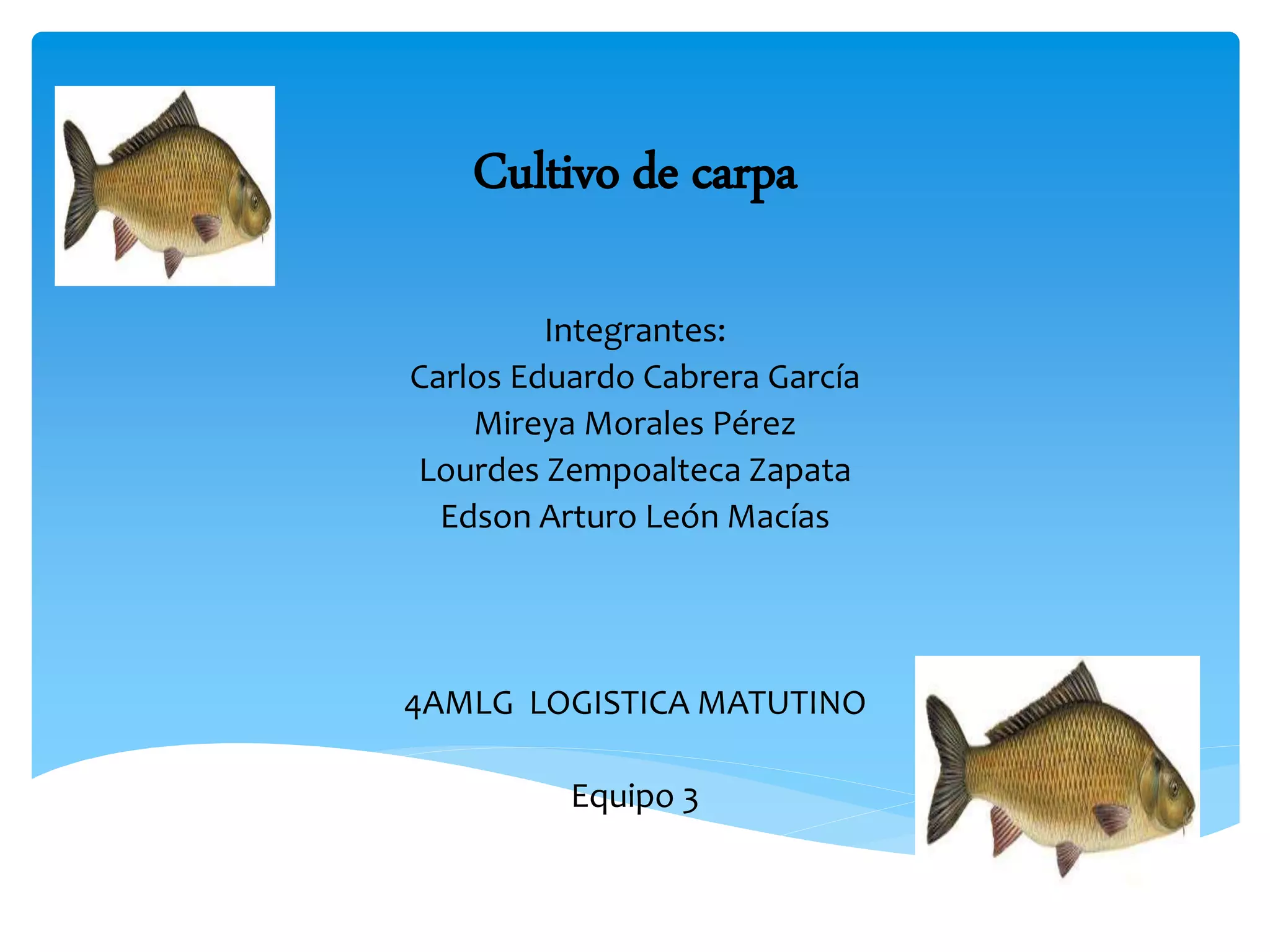 Exportacion del-cultivo-de-carpa | PPTX