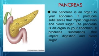 3rd Quarter human organ science | PPT
