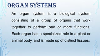 3rd Quarter human organ science | PPT