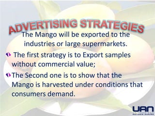 Export fresh mango sliced. Viviana Robayo | PPT