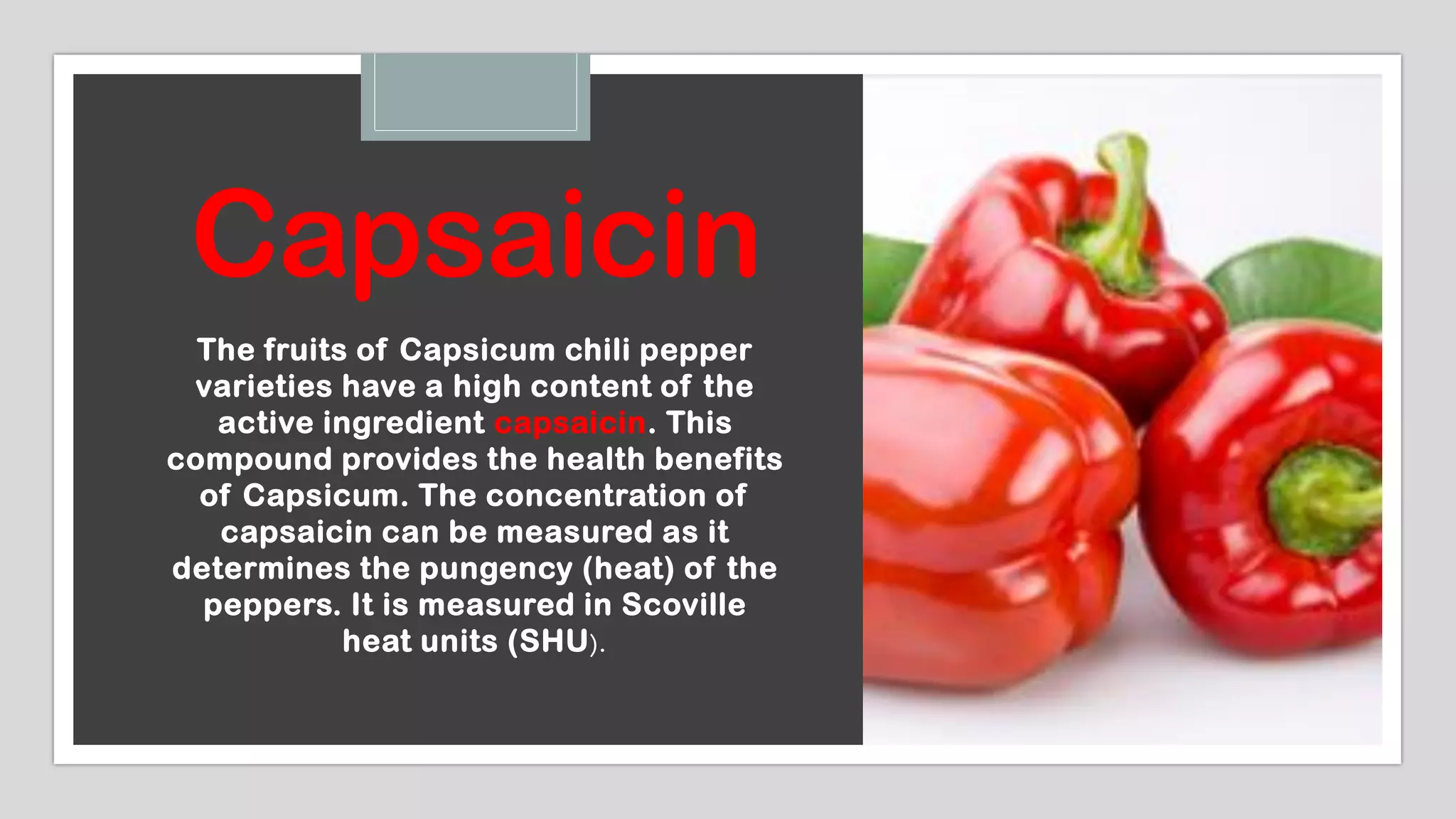 Exporting capsicum | PDF