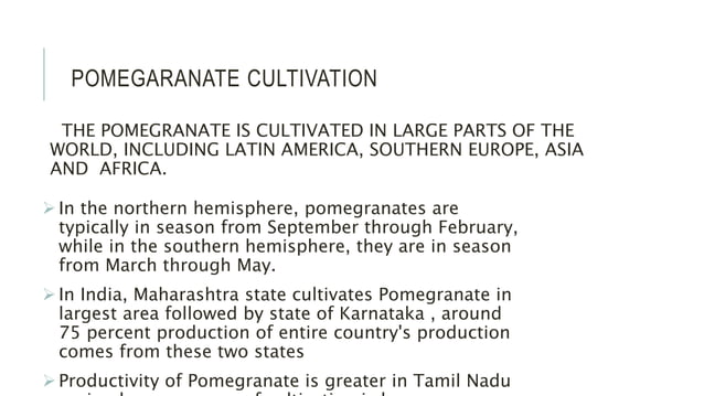 Exporting pomegranate | PPTX | Agriculture | Industries