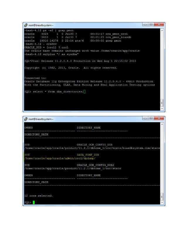 How To View A Dmp File Geserboard 5116