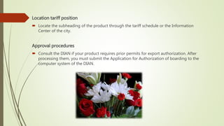 Export of flowers | PPTX