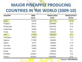 Export potential of pineapple | PPTX