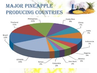 Export potential of pineapple | PPTX