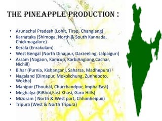 Export potential of pineapple | PPTX
