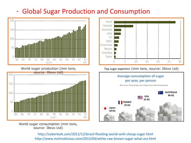 Export Project : Sugar | PPT