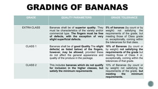 EXPORT QUALITY OF BANANA [Autosaved].pptx