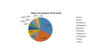 Export rice presentation | PPTX