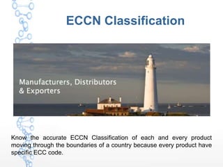 Export screening | PPTX