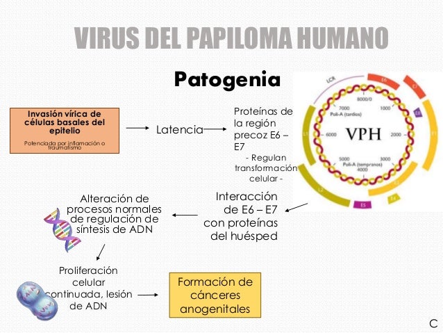 Virus del Papiloma Humano