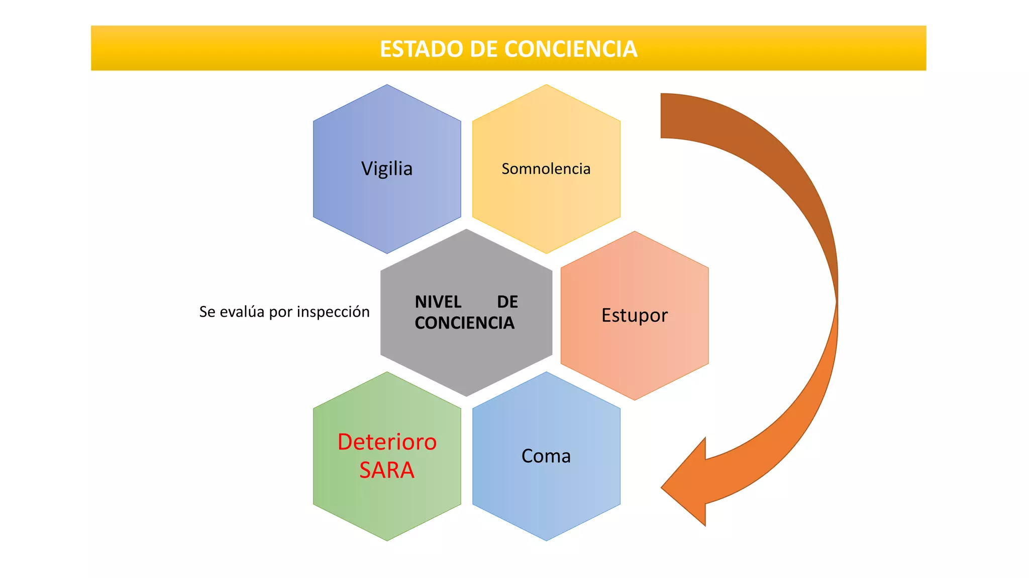 ESTADO DE CONCIENCIA.pptx