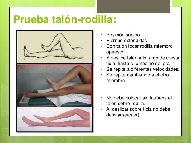 Expo semiologia 6 to