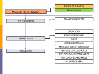 CONCIENCIA SEMIOLOGÍA NEUROLÓGICA | PPTX