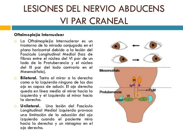 ANATOMÍA DEL VI PAR CRANEAL - NERVIO ABDUCENS