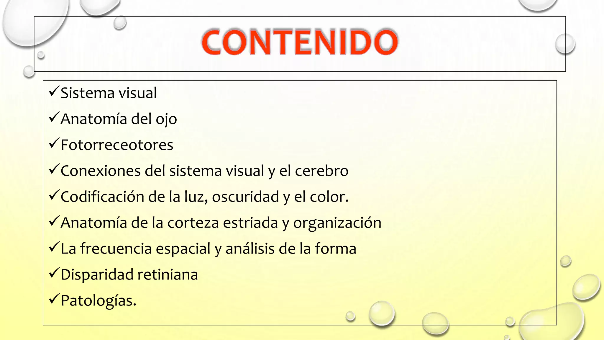 Sistema Visual | PPTX