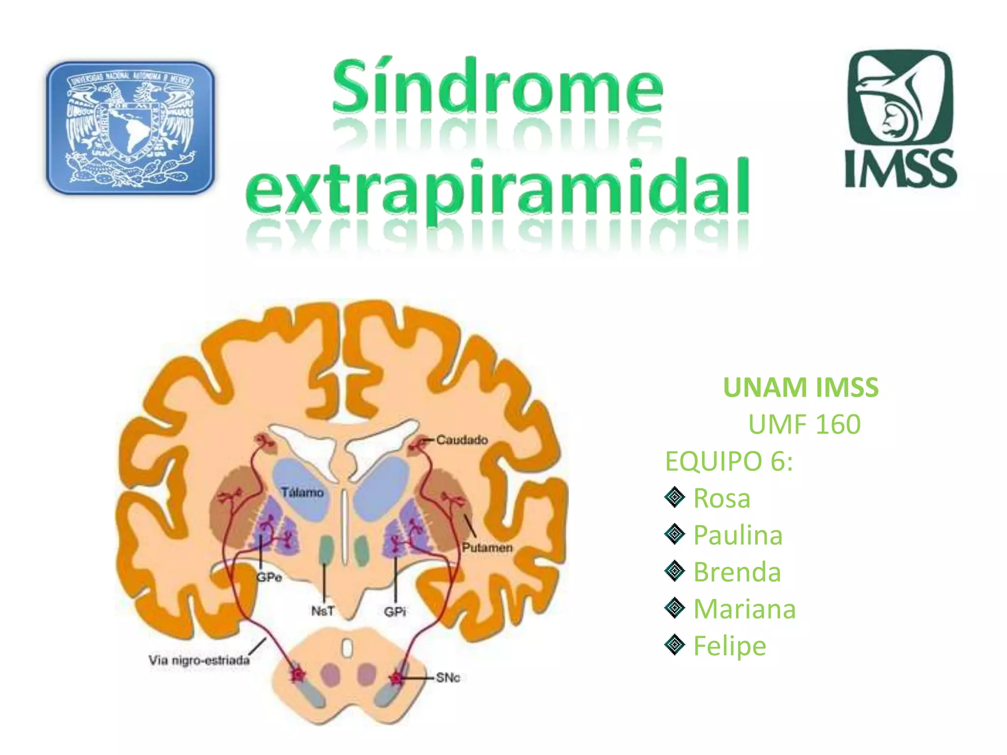Exposición síndromes motores (síndrome extrapiramidal) | PPTX | Brain ...