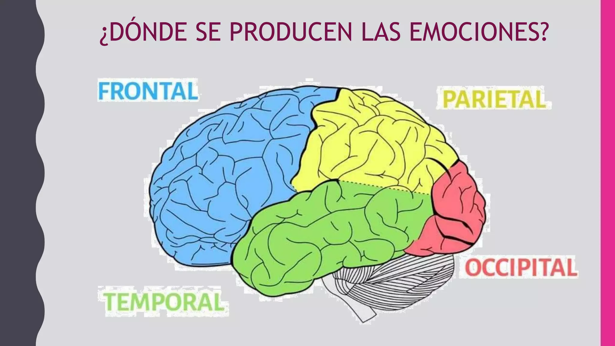 EXPOSICIÓN AUTONOMÍA EMOCIONAL Y HABILIDADES SOCIOEMOCIONALES.pptx