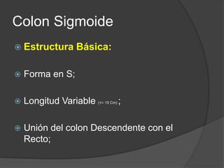 Exposición colon y volvulo sigmoide | PPTX