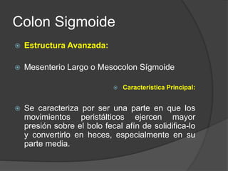 Exposición colon y volvulo sigmoide | PPTX