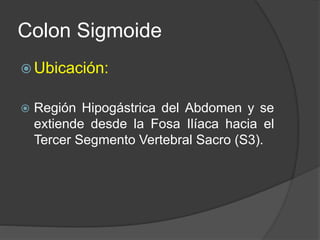 Exposición colon y volvulo sigmoide | PPTX