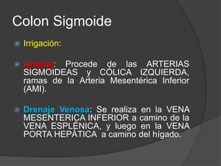 Exposición colon y volvulo sigmoide | PPTX