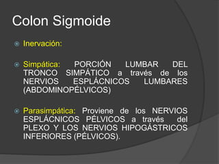 Exposición colon y volvulo sigmoide | PPTX