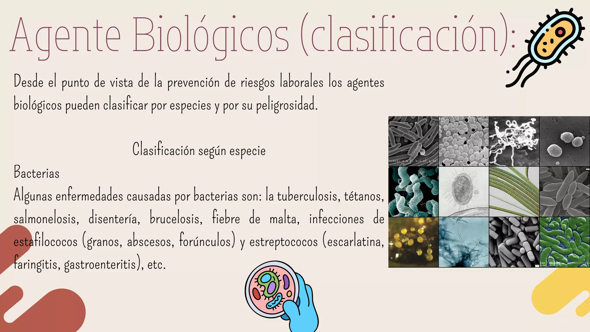 Exposición de Agentes Biológicos (1).pdf