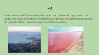 Exposición de geografía .pptx