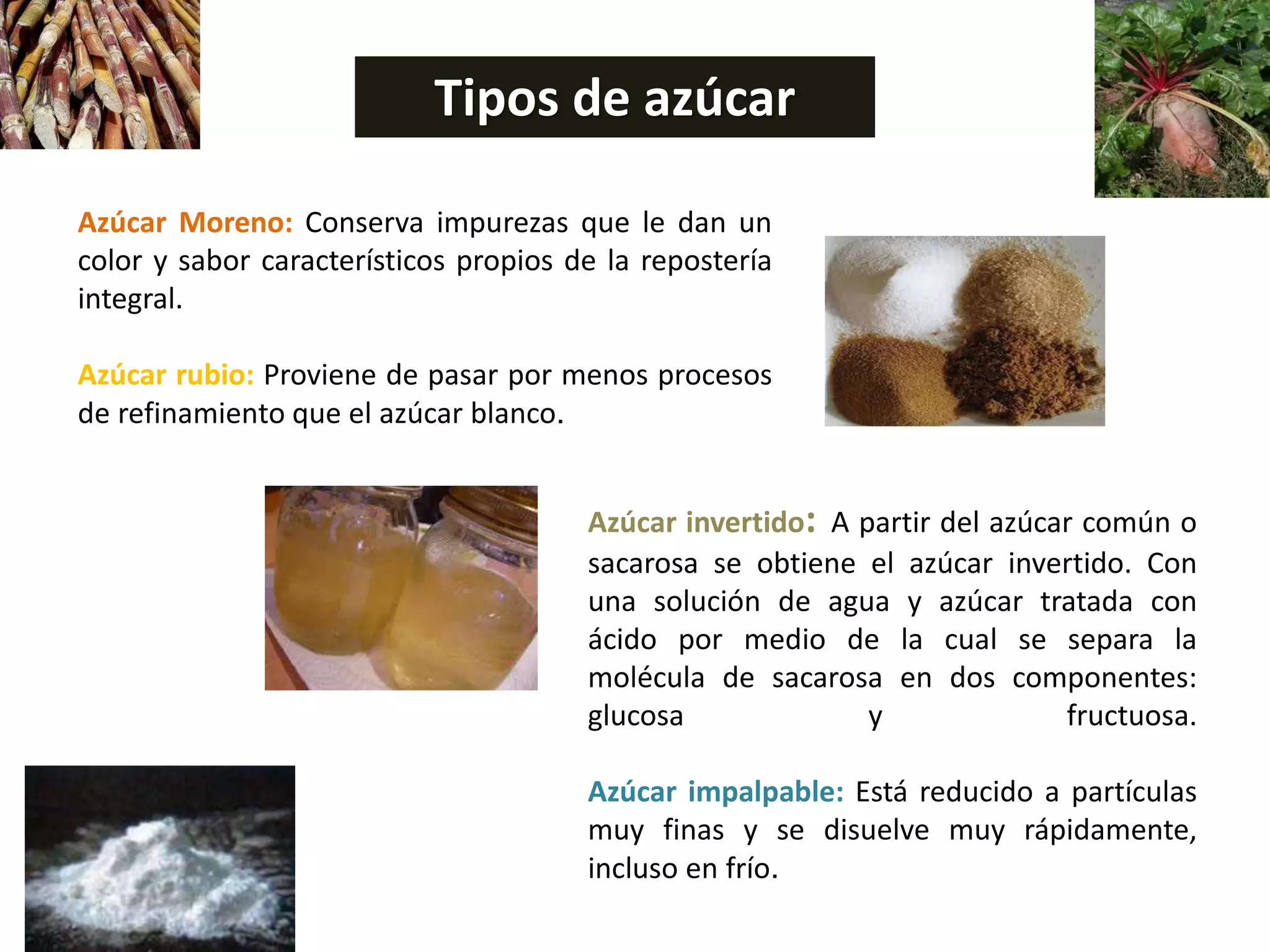 Proceso de elaboración del Azúcar | PPTX