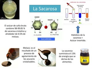 Proceso de elaboración del Azúcar | PPTX