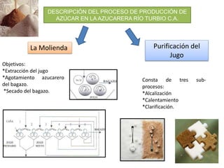 Proceso de elaboración del Azúcar | PPTX