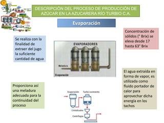 Proceso de elaboración del Azúcar | PPTX