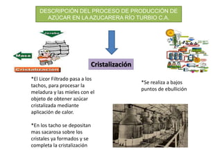 Proceso de elaboración del Azúcar | PPTX