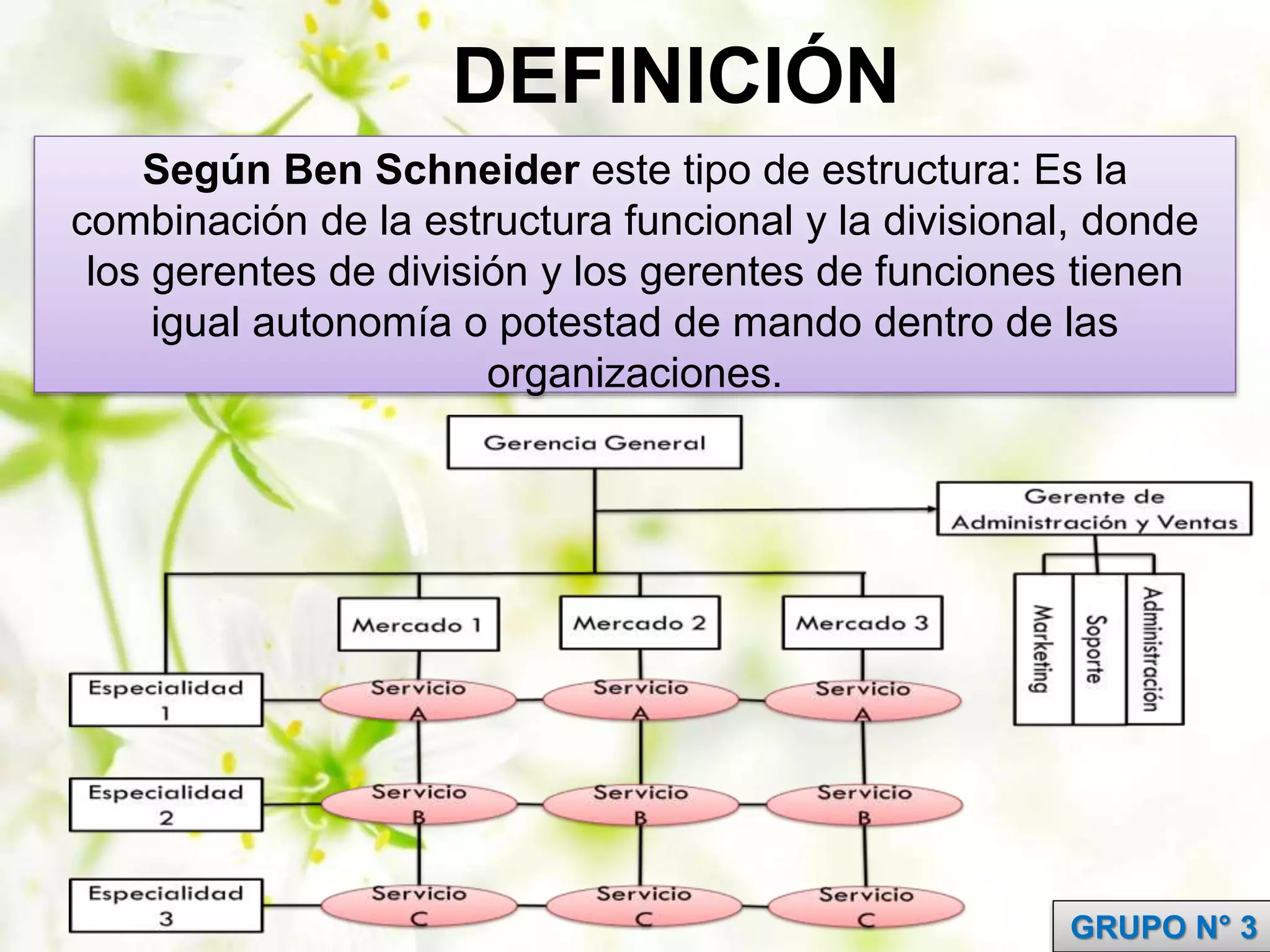 Estructura Matricial | PPT
