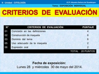 Exposición individual de citología | PPT