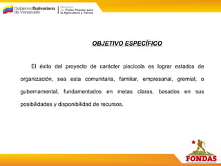 Producción Piscícola de Cachama en Zonas Urbanas: Técnicas y ...