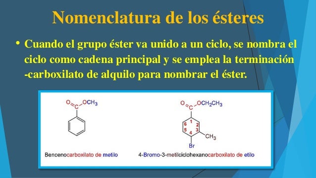Exposición química orgánica esteres