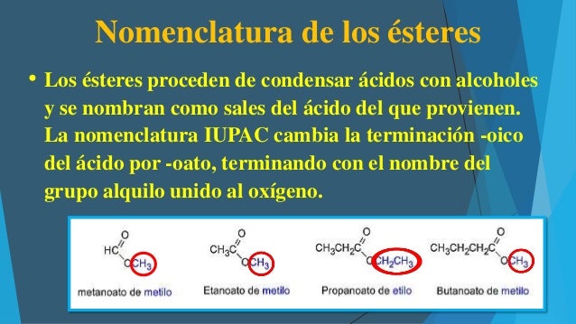 Exposición química orgánica esteres