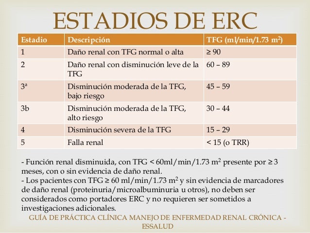 Exposición sistema digestivo renal